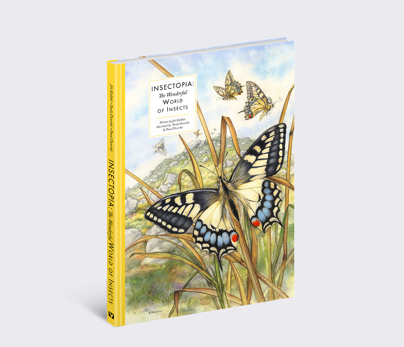 Insectopia: The Wonderful World of Insects - Albatros Books